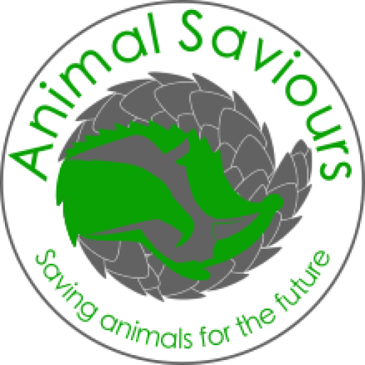 Wildlife Conservation Experiences - Animal Saviours