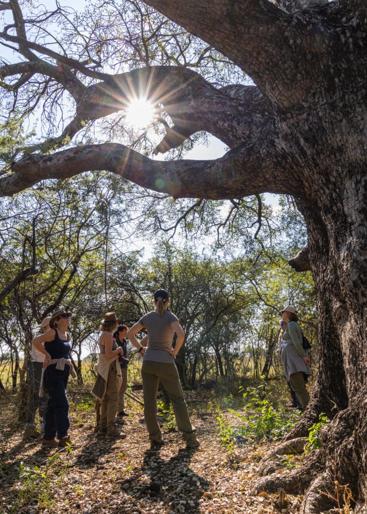 Our Conservation Experiences - Animal Saviours