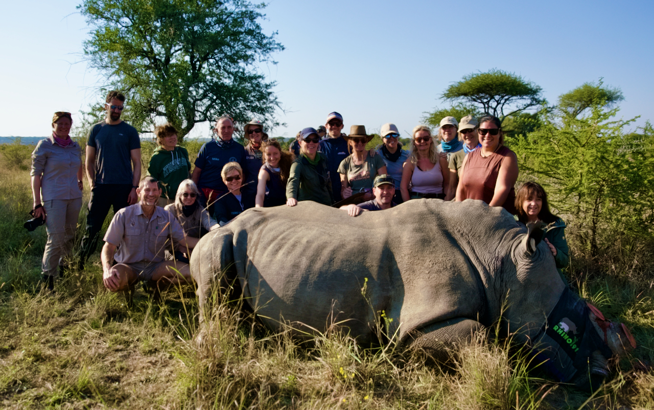 Our Conservation Experiences - Animal Saviours